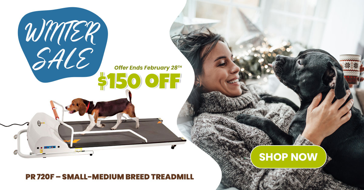 GoPet USA • Pet Exercise Equipment • Dog and Cat Treadmills